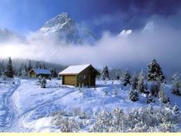 雪地里的小画家_部编版一年级语文上册_教师之家